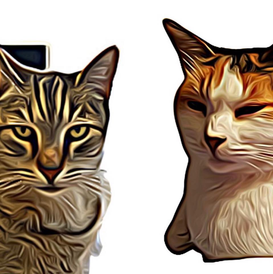 Custom Orders – Munchkin and Tibbles Creations